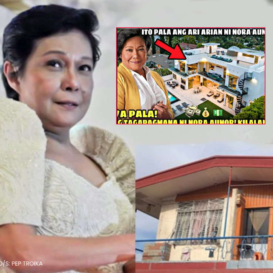 REVEALED: Nora Aunor’s Hidden Fortune SHOCKS the Nation—Millions in ...