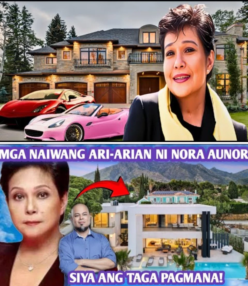UNBELIEVABLE! Nora Aunor’s Hidden Billions Finally Revealed After Her ...