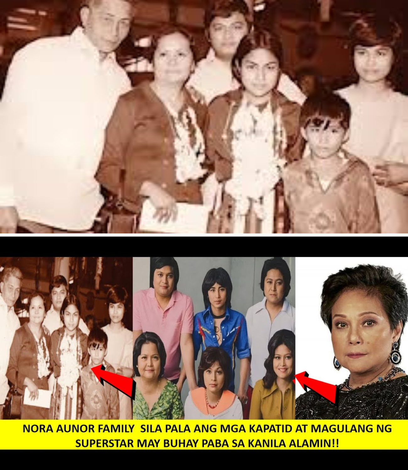 Nora Aunor was born into a family of nine siblings. The petite girl once saved her family from ...