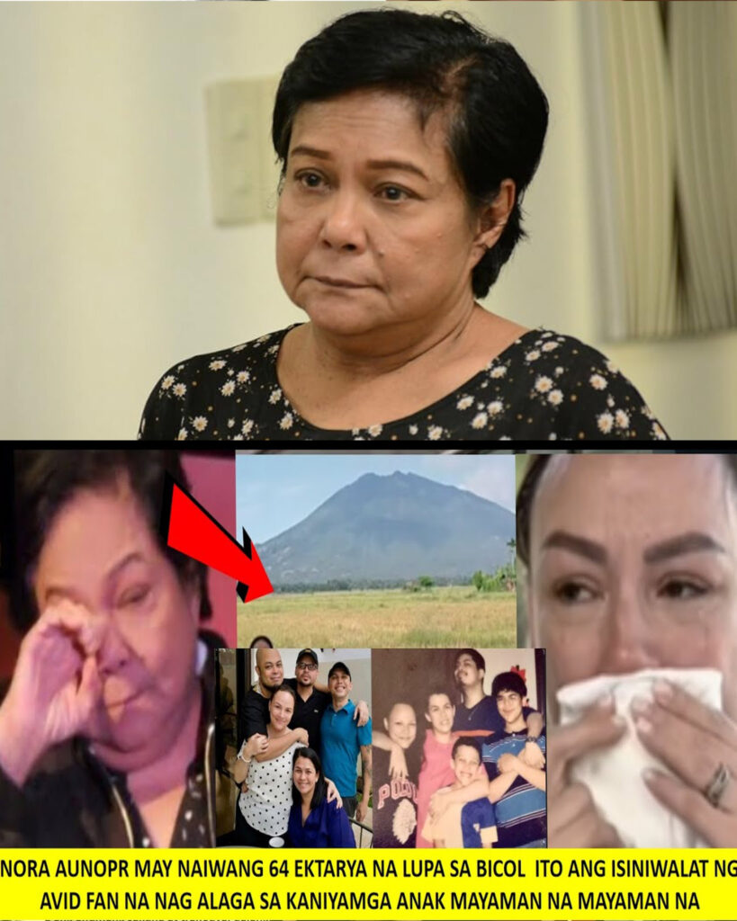 Nora Aunor’s Alleged Massive Land Inheritance in Bicol Sparks Online Frenzy—Truth or Legacy?/hi ...
