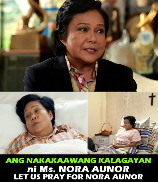 REVIEW: Nora Aunor's critical condition at the hospital after an ...