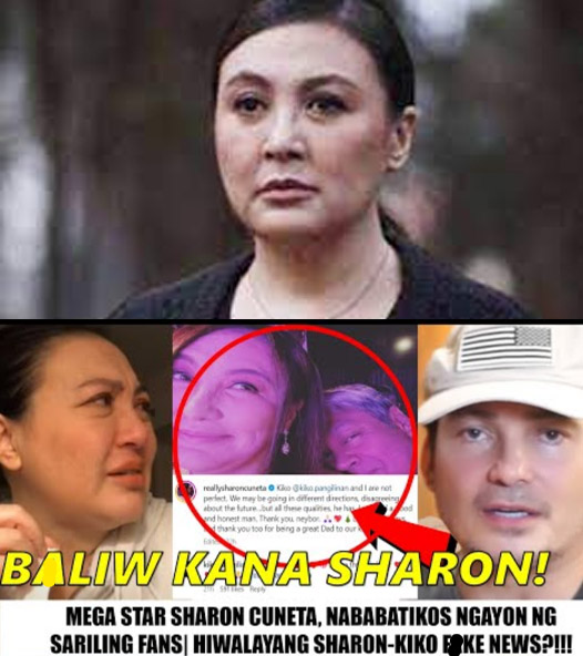 Sharon Cuneta, Buking Na, She and Kiko Pangilinan's divorce is just one .../hi - News