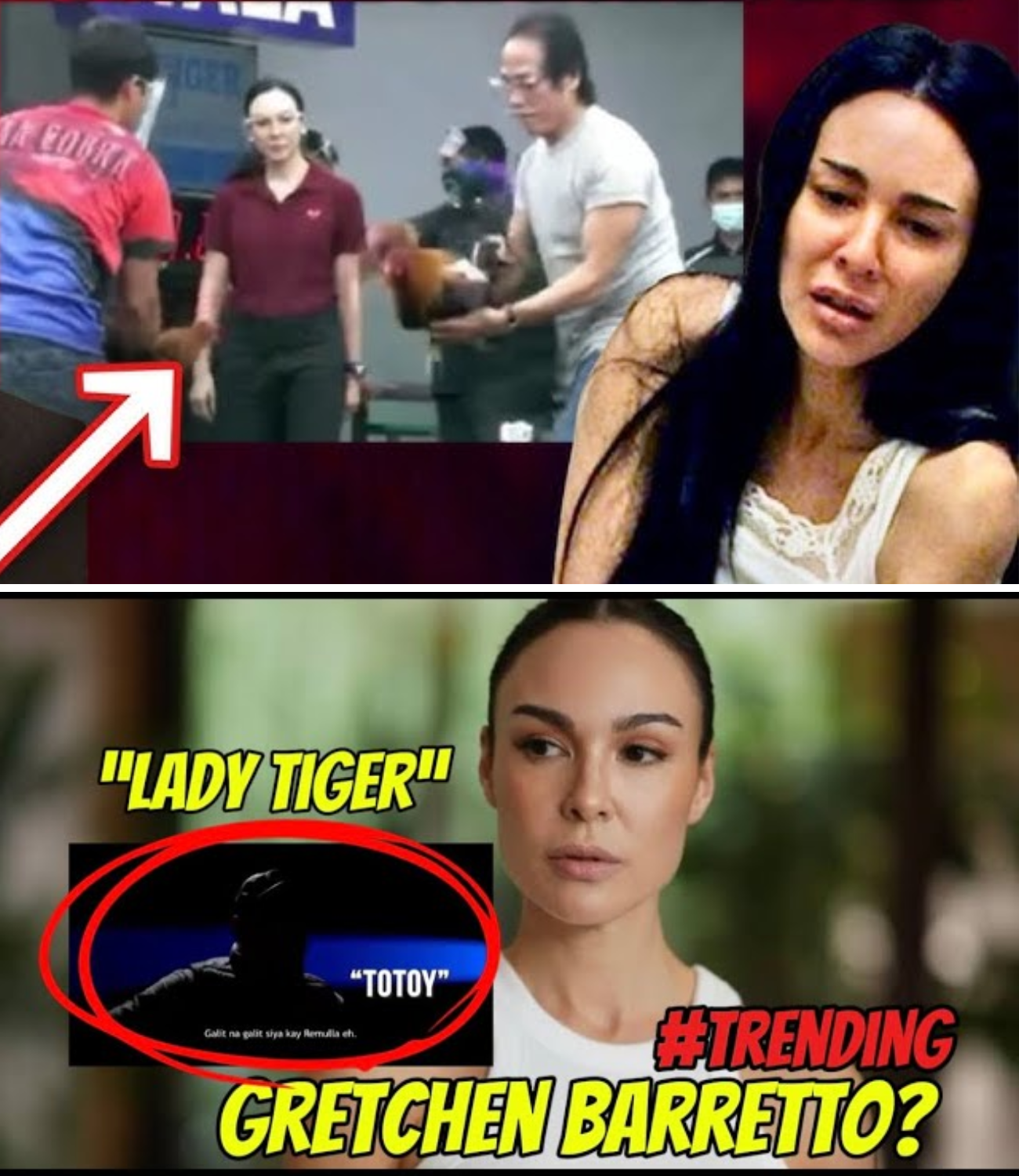 JUST IN: Gretchen Barretto Referred to as “Lady Tiger” by Alias ‘Totoy ...