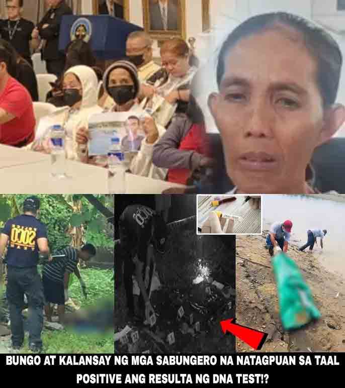 SHOCKING NEWS ABOUT THE MISSING SABUNGERO CASE: DNA RESULTS FROM THE ...
